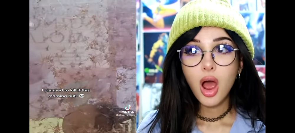 MAYFAIR MEDICAL CENTER - Updated December 2025 - 2821 NW 50th St ...