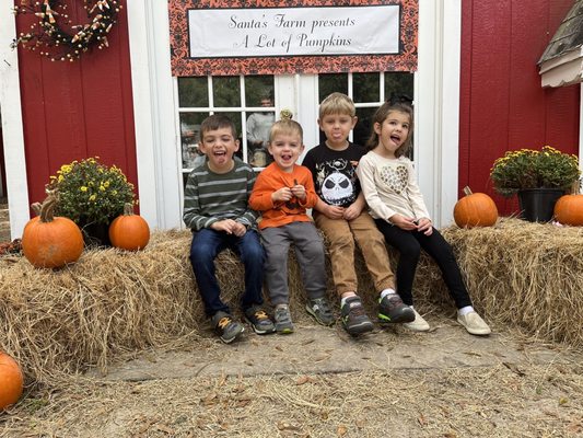 SANTAS CHRISTMAS TREES FOREST - Updated October 2025 - 272 Photos & 83 ...