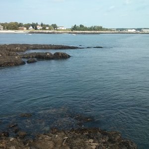 GREAT ISLAND COMMON - 45 Photos & 16 Reviews - New Castle, New ...