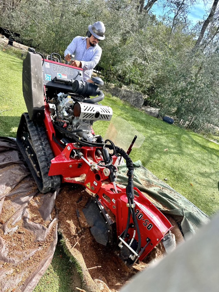TREE TX SERVICES - Updated October 2025 - 185 Reviews & 108 Photos ...