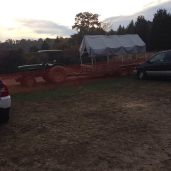 BERRY PATCH FARMS - Updated July 2025 - 25 Photos & 40 Reviews - 786 ...