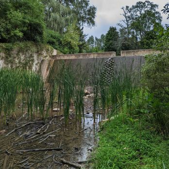CARPENTER LAKE NATURE PRESERVE - Updated October 2025 - 161 Photos & 48 ...