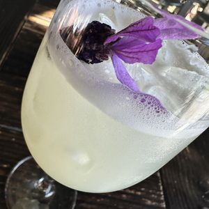 SWAN DIVE - Updated July 2025 - 211 SW 5th St, Corvallis, Oregon ...