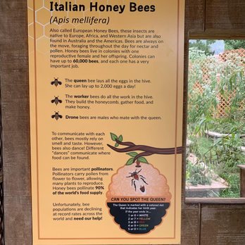 BRANDYWINE ZOO - Updated September 2025 - 178 Photos & 71 Reviews ...