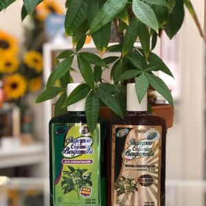 ABCO LABORATORIES - Health Markets - 2450 S Watney Way, Fairfield, CA ...