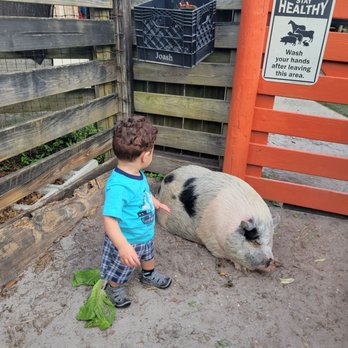 MARANDO FARMS & RANCH - Updated July 2025 - 349 Photos & 121 Reviews ...