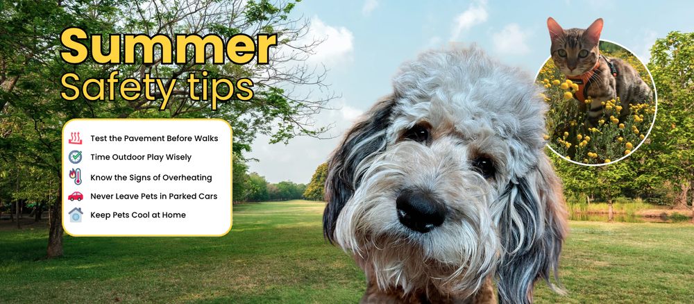 CHASKA VALLEY VETERINARY CLINIC - Updated August 2025 - 14 Photos & 32 ...