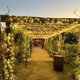 IN CONTRADA VINEYARD AND KITCHEN - Updated September 2025 - 318 Photos ...