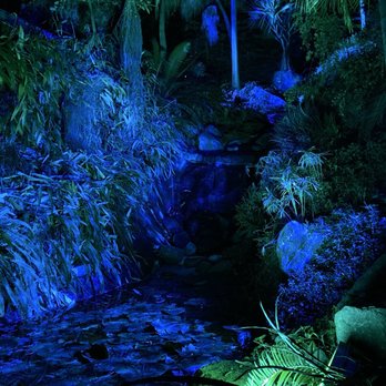 LIGHTSCAPE SAN DIEGO - Updated October 2025 - 250 Photos & 59 Reviews ...