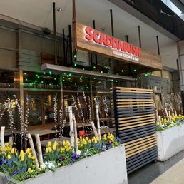 SCADDABUSH - Updated January 2026 - 581 Photos & 381 Reviews - 200 ...