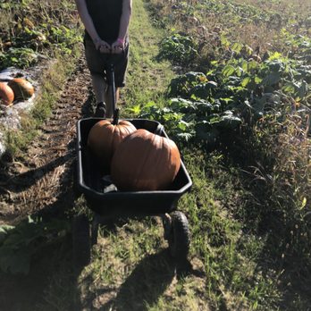 HOLDER HILL FARM - Updated October 2025 - 42 Photos & 14 Reviews - 4822 ...