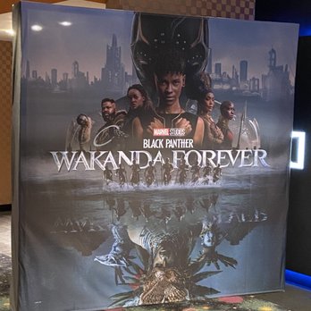 AMC GULF POINTE 30 - Updated July 2025 - 183 Photos & 256 Reviews ...