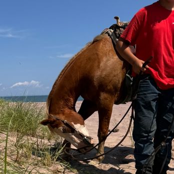 DEEP HOLLOW RANCH BEACH & TRAIL RIDES - Updated December 2025 - 85 ...