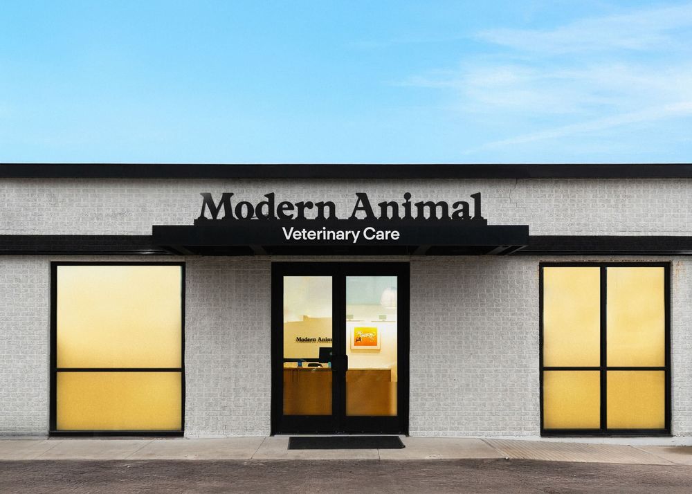 MODERN ANIMAL - Updated December 2025 - 238 W 19th St, Houston, Texas ...
