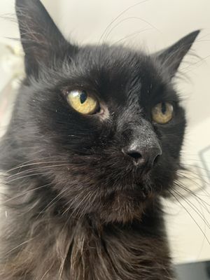 PACIFIC POST-ACUTE - Updated January 2026 - 33 Photos & 54 Reviews ...