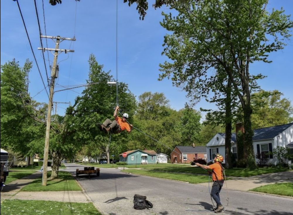 CLIMBING HIGH TREE SERVICE - Updated January 2026 - 19 Photos - Amherst ...