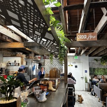 CAJÉ COFFEE ROASTERS - HALEY ST - Updated October 2025 - 963 Photos ...