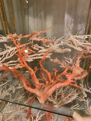 LUCORAL MUSEUM - 34 Photos & 10 Reviews - 2414 Kuhio Ave, Honolulu ...