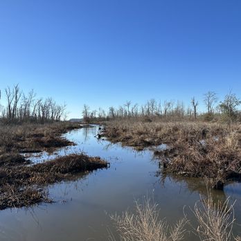 OCCOQUAN BAY NATIONAL WILDLIFE REFUGE - Updated November 2025 - 81 ...