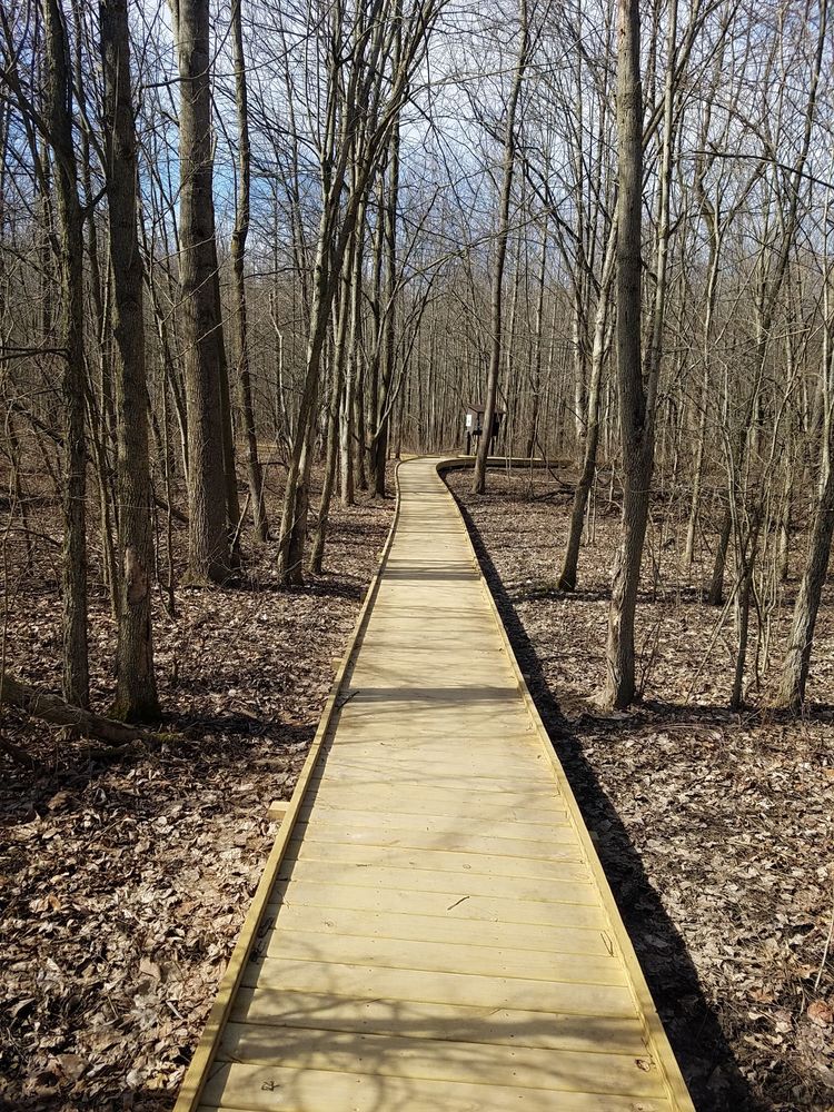 FOWLER WOODS STATE NATURE PRESERVE - Updated March 2025 - 12 Photos ...