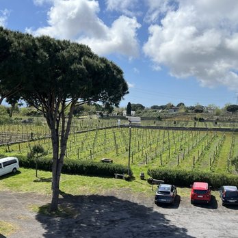CANTINA DEL VESUVIO WINERY - Updated October 2025 - 113 Photos & 40 ...