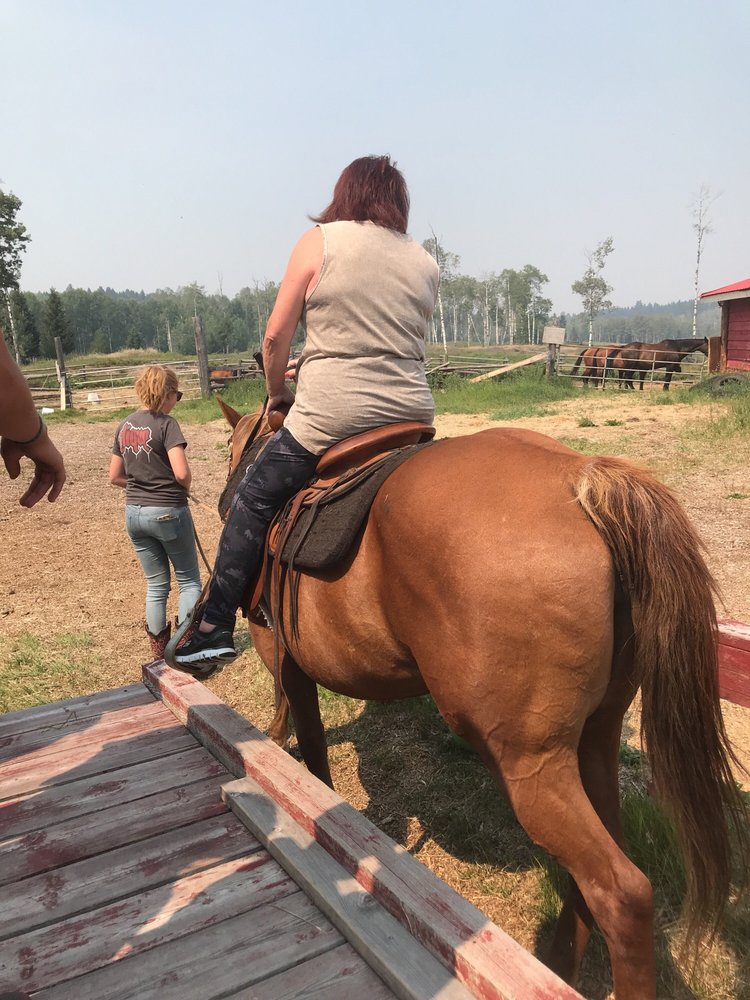 108 RIDING STABLES - Updated January 2026 - 4698 Kitwanga Drive, 108 ...