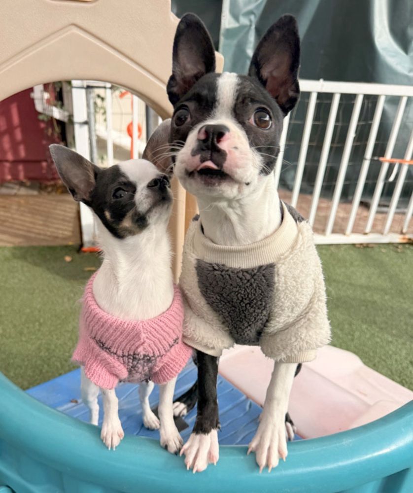 WAGON TAIL RANCH - Updated December 2025 - 188 Photos & 74 Reviews ...