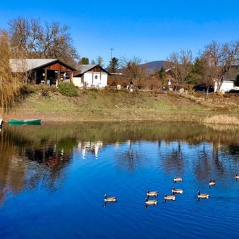 TESTA VINEYARDS - Updated December 2025 - 113 Photos & 49 Reviews ...