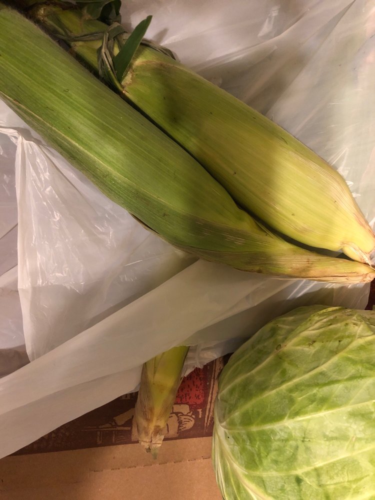 O & F FARMS GREENHOUSES - Updated June 2026 - 2815 Skippack Park ...