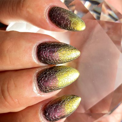 PAMPERED NAILS AND SPA - 549 Photos & 140 Reviews - 42051 10th St W ...