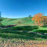 DIABLO FOOTHILLS REGIONAL PARK - 237 Photos & 44 Reviews - 1700 Castle ...