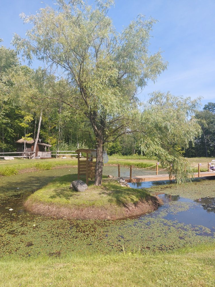 MUSKOKA WEDDING PLACE - Updated June 2025 - 11 Photos - 9 Healy lake ...