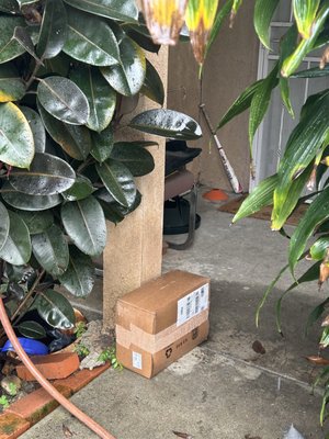 FEDEX SHIP CENTER - Updated August 2025 - 22 Photos & 156 Reviews ...