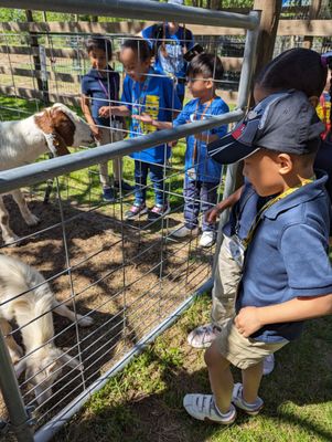 TURQUOISE ACRES RANCH - Updated October 2025 - 64 Photos - 3550 Schlipf ...