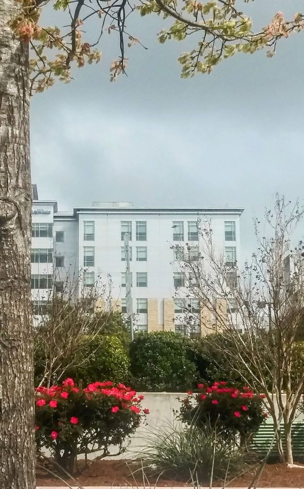 BAYLOR SCOTT & WHITE MEDICAL CENTER - TEMPLE - Updated May 2024 - 42 ...