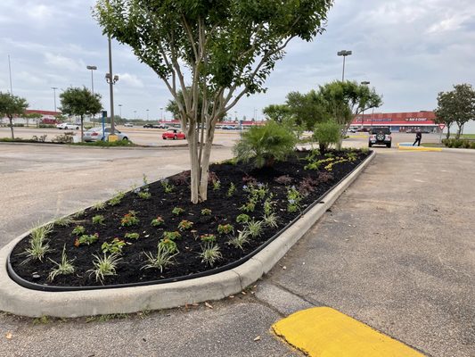 THE COMMUNITY COLLECTIVE FOR HOUSTON - Updated December 2025 - 15 ...