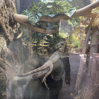 PHOENIX ZOO - Updated December 2024 - 2352 Photos & 1039 Reviews - 455 ...