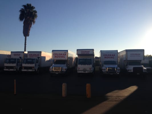 COLEMAN MOVING SYSTEMS - Updated June 2026 - 21 Photos & 113 Reviews ...