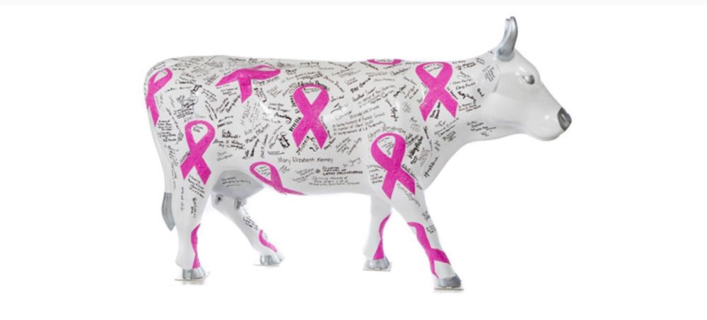 Rex Breast Care Center - Trusted Since 1969 - Updated July 2025 - 2800 ...