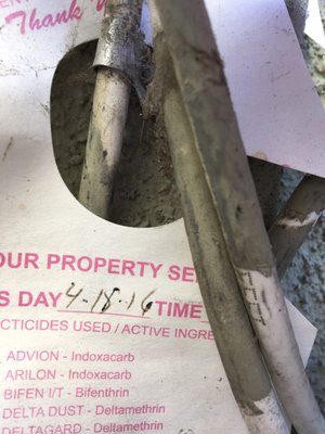 DEWEY PEST & TERMITE CONTROL - Updated October 2025 - 18 Photos & 115 ...