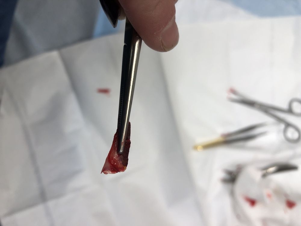 VJ NAILS & SPA - Updated April 2025 - 78 Photos & 106 Reviews - 5688 W ...