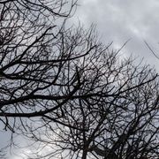 COYOTE HILLS REGIONAL PARK - 2016 Photos & 377 Reviews - 8000 Patterson ...