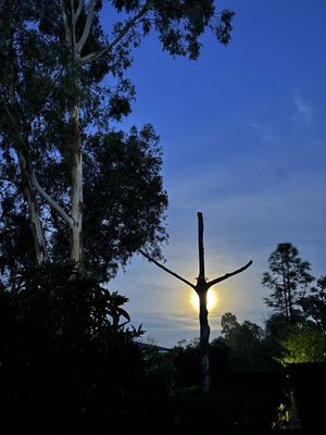 PRINCE OF PEACE ABBEY - Updated December 2025 - 172 Photos & 24 Reviews ...