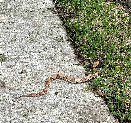 DIXIE FARM ROAD PARK - Updated January 2026 - 39 Photos - Blackhawk ...