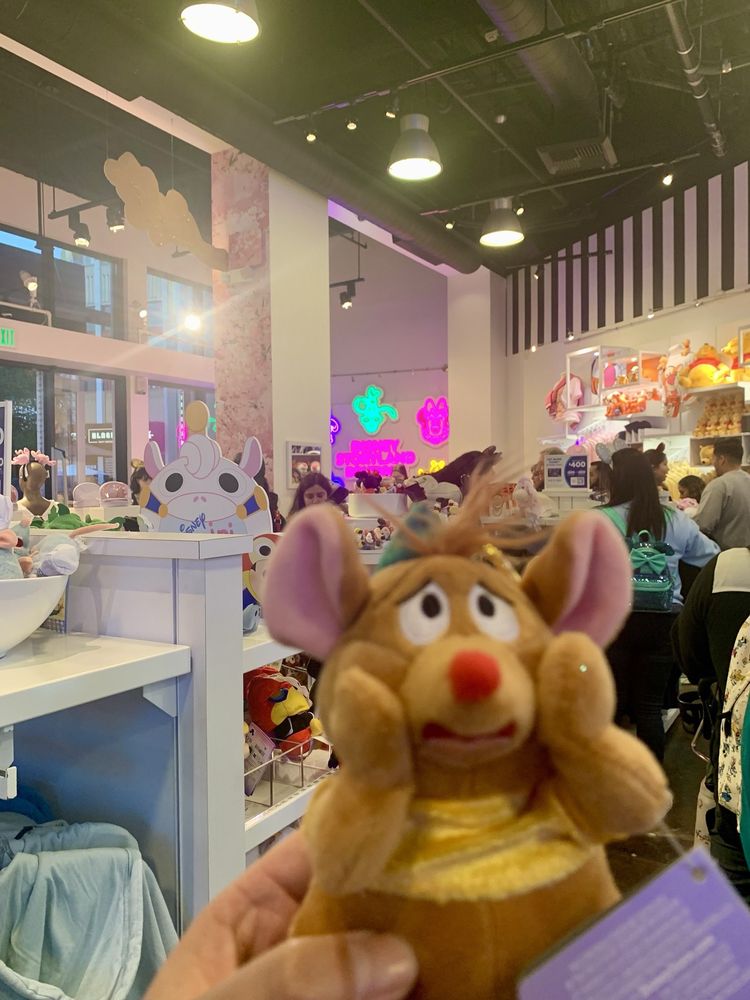 DISNEYWORLD - Updated February 2025 - Anaheim, California - Souvenir ...