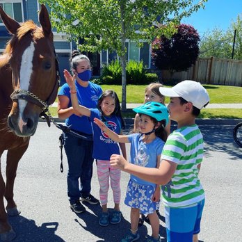 SEATTLE PONY PARTY - Updated September 2025 - 17 Photos & 19 Reviews ...
