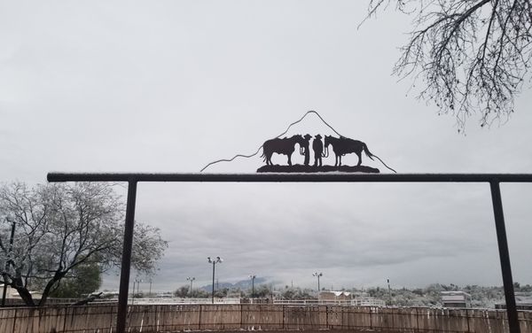 RAVEN RANCH - Updated October 2025 - 17 Photos - 9525 E Graf Ln, Tucson ...