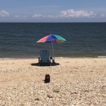 POINT LOOKOUT STATE PARK - Updated December 2024 - 143 Photos & 49 ...