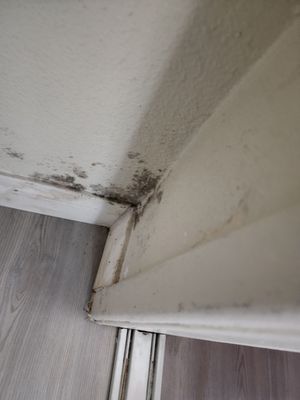 REGENCY MANAGEMENT INC - Updated December 2025 - 49 Photos & 84 Reviews ...