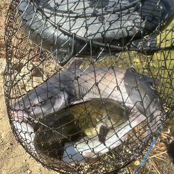 JESS RANCH LAKES - RECREATIONAL FISHING - Updated December 2025 - 74 ...